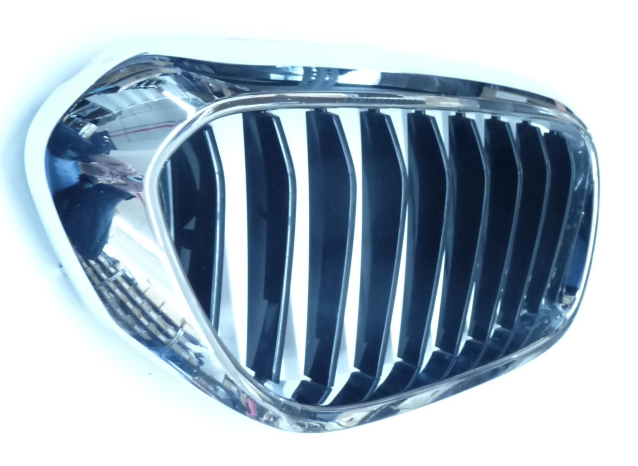 2017-2019 BMW G30 G31 530i 540i Front Right Side Grille 51137383520 OEM ...