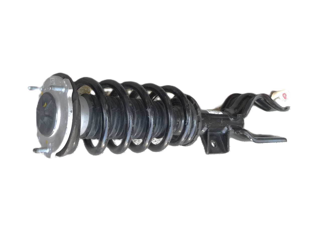 2017-2023 Tesla Model 3 Front Right Side Shock Absorber Strut 1044368 ...
